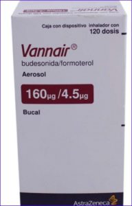 VANNAIR AEROSOL 120 DOSIS 160 | FARMACIA RIVAS DEL CENTRO